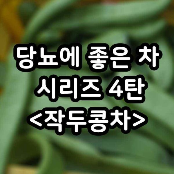 작두콩차 효능 당뇨에 좋은 차 시리즈 4탄 부작용과 만들기까지 고센 포스트